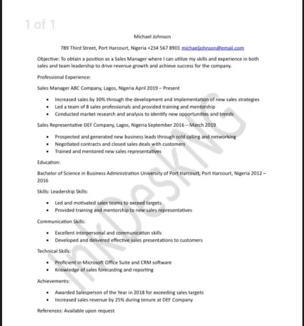 CV Format in Nigeria: 2024 Best Styles Explained - Inkdeskng ...